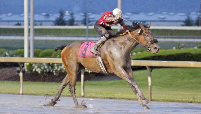 Malibu Rum continues winning ways | Emerald Downs | Auburn Reporter