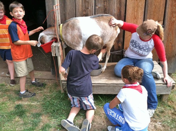 White River Valley Museum, Mary Olson Farm receive more than $66,000 in ...