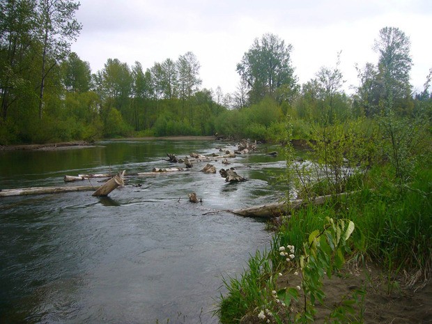 State grant will help City build new setback levee | Auburn Reporter