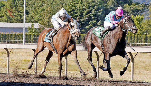 All in the family for Noosito and track's leading stakes trainer ...