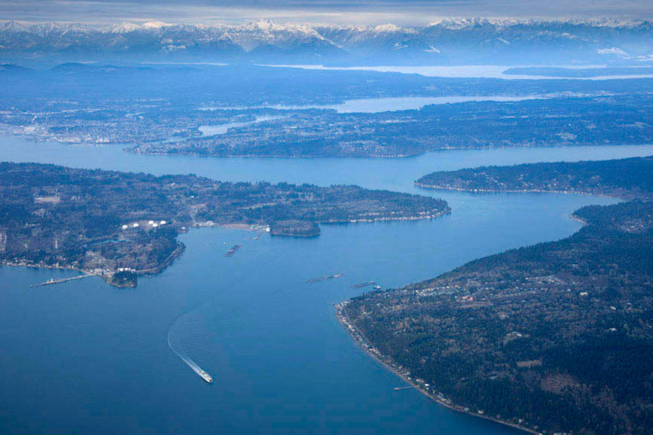 We need to do more to clean Puget Sound | Being Frank | Auburn Reporter