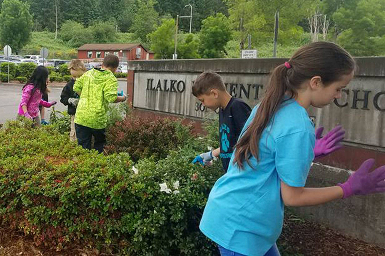 WE did it: Ilalko students pitch in to beautify school | Auburn Reporter