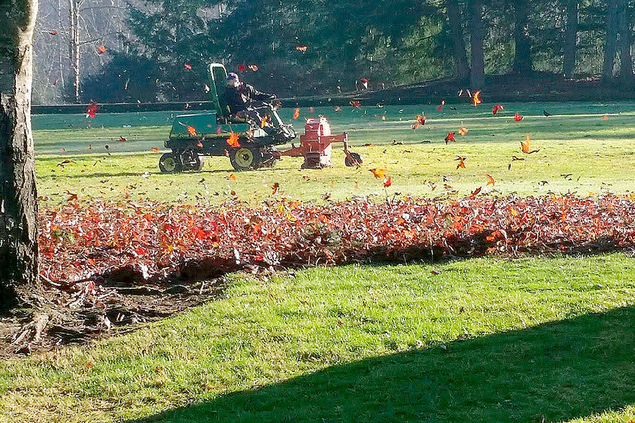 Sweep week | Auburn Reporter