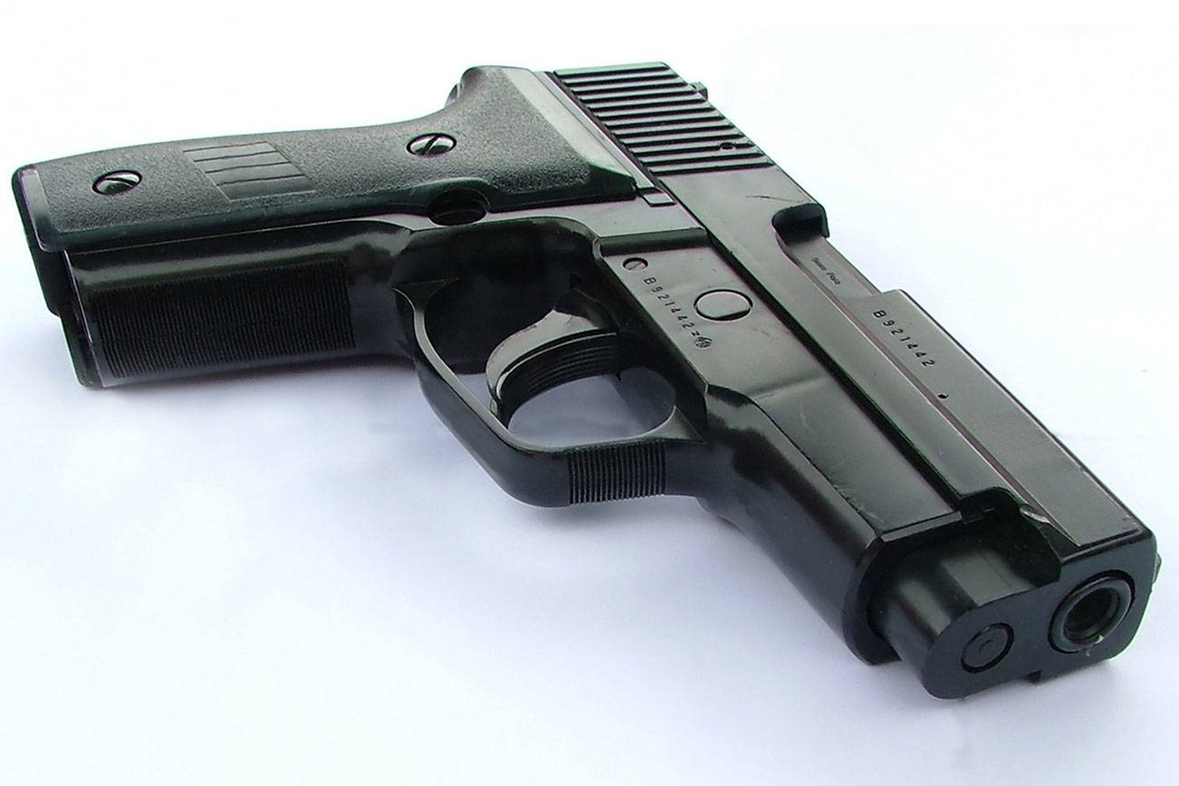 Firearm confiscation can get a little fuzzy | Auburn Reporter