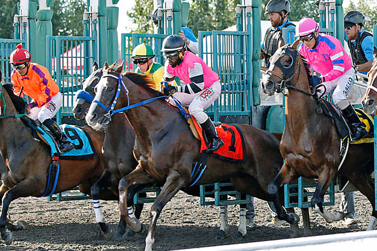 It’s Derby Day Sunday; four stakes winners head strong field | Auburn ...