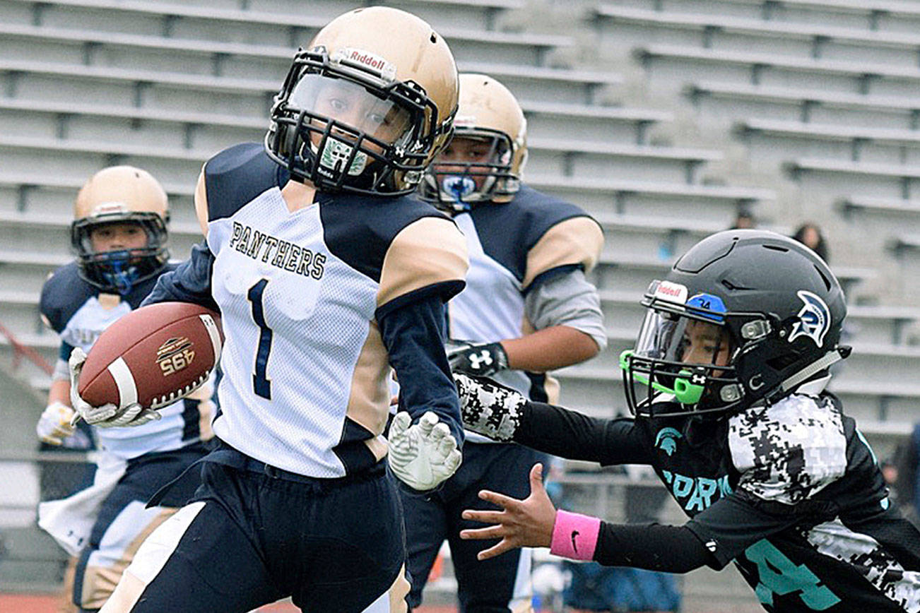 Panthers stay perfect | Auburn Reporter