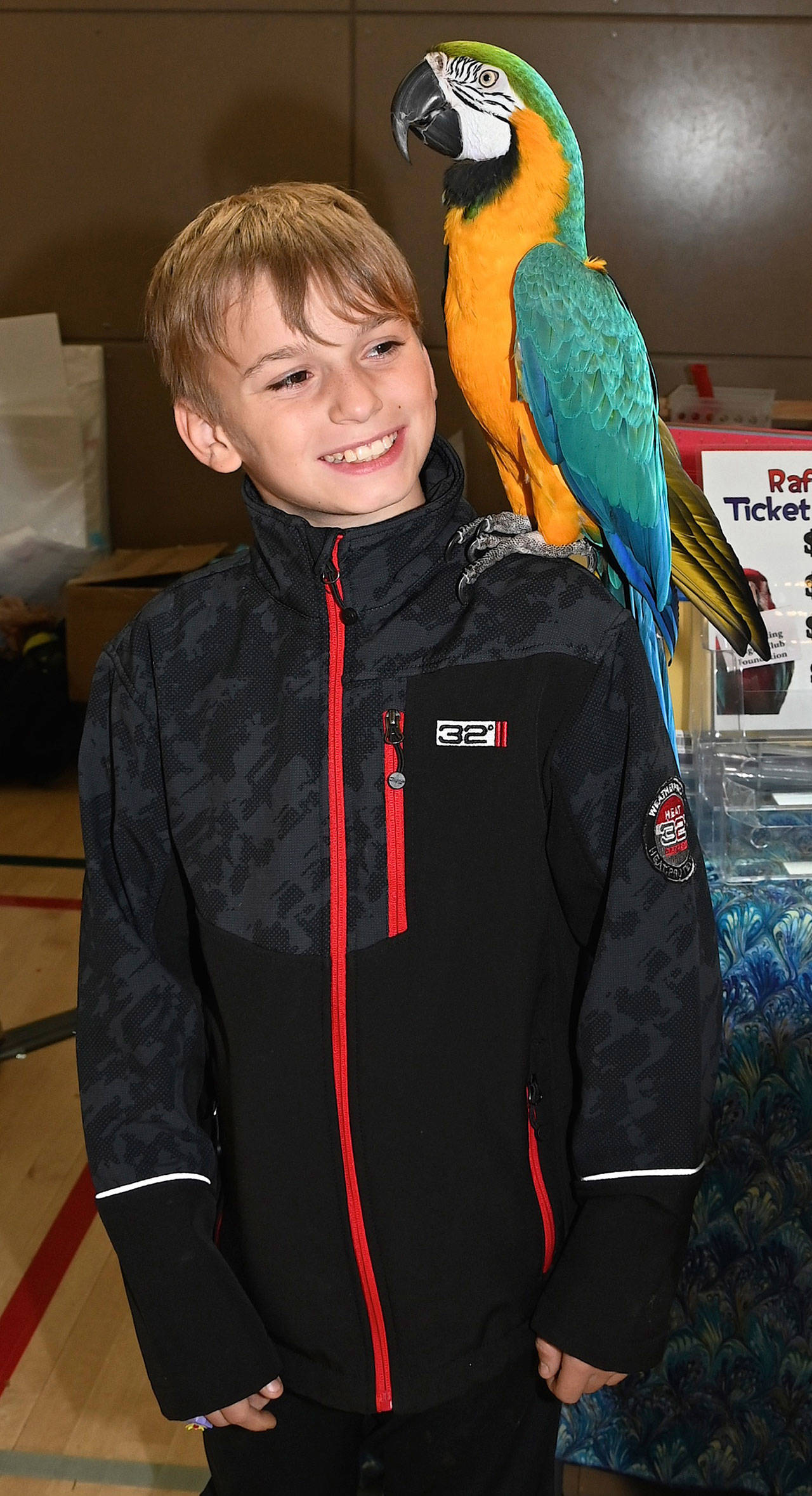 Bird of wonder | Auburn Reporter