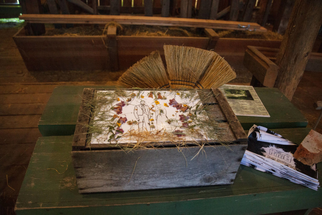 Meet Neely Goniodsky, artist in residence at Mary Olson Farm | Auburn ...