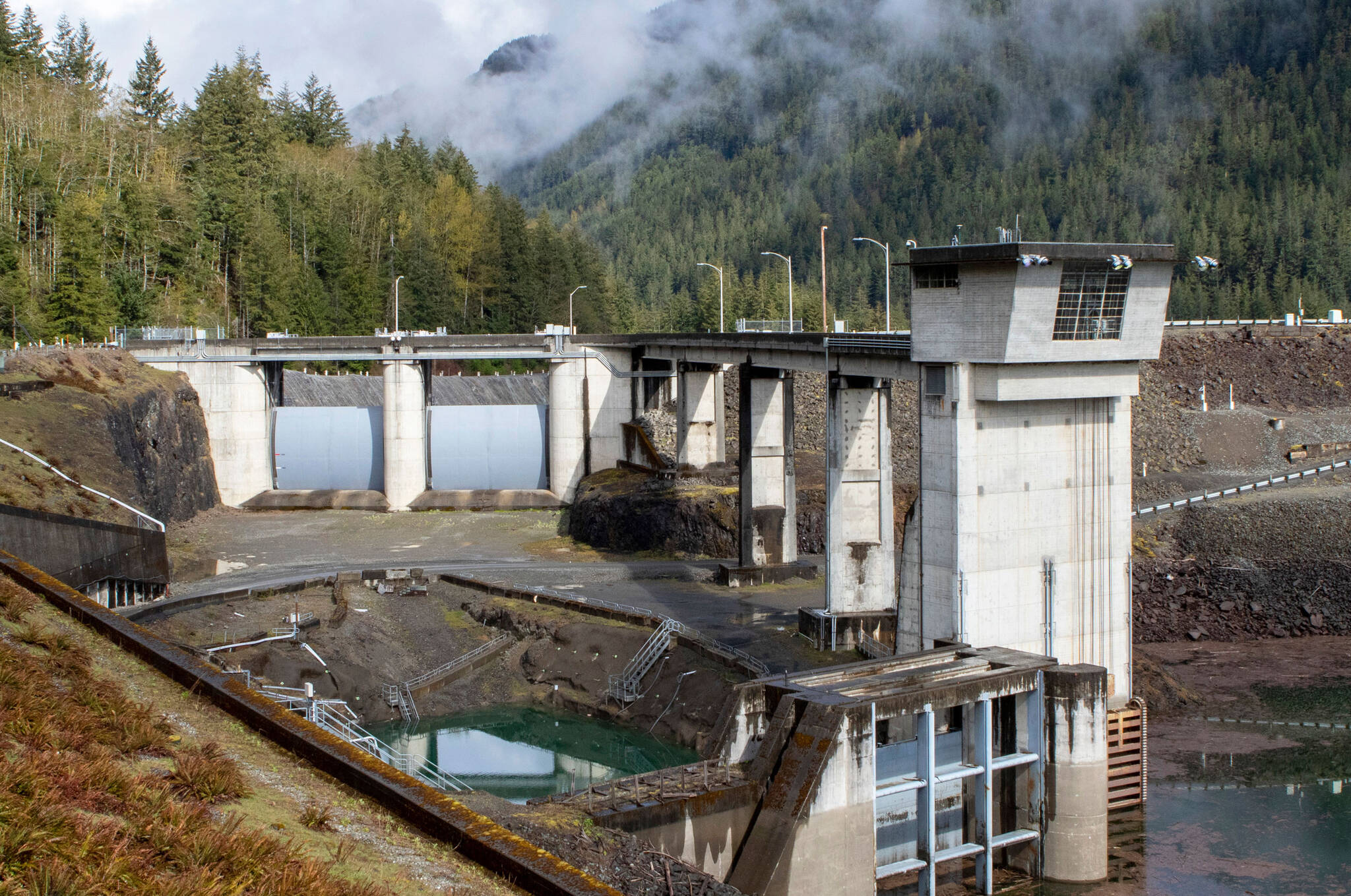 Army Corps awards $657M Hanson Dam fish passage project along Green ...