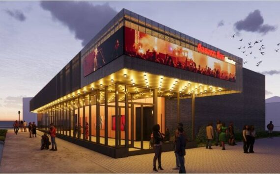 Auburn Valley Humane Society rescues 103 dogs, many chiweenies | Auburn ...