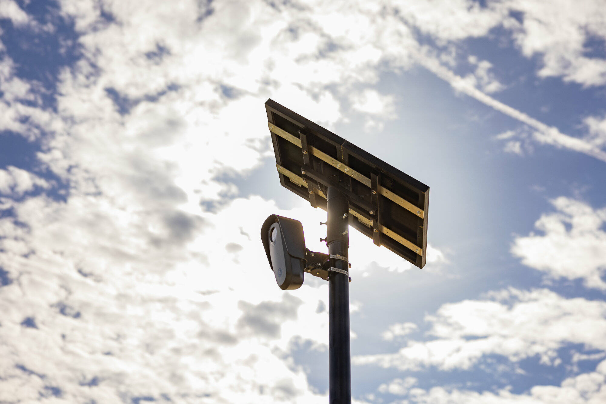 Auburn addresses immigration enforcement’s use of Flock cameras ...