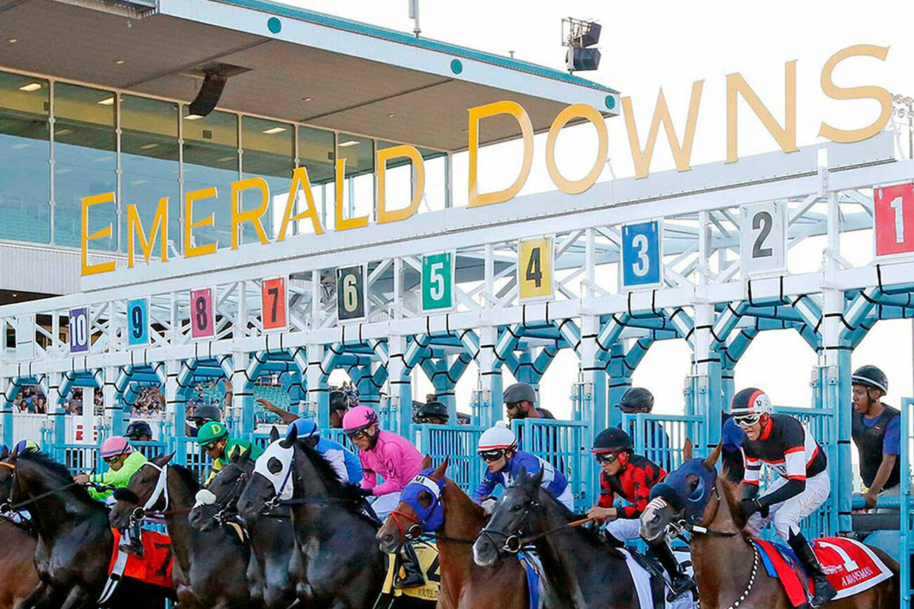 Emerald Downs attendance up 16% in 2023; handle down 10.6% | Auburn ...